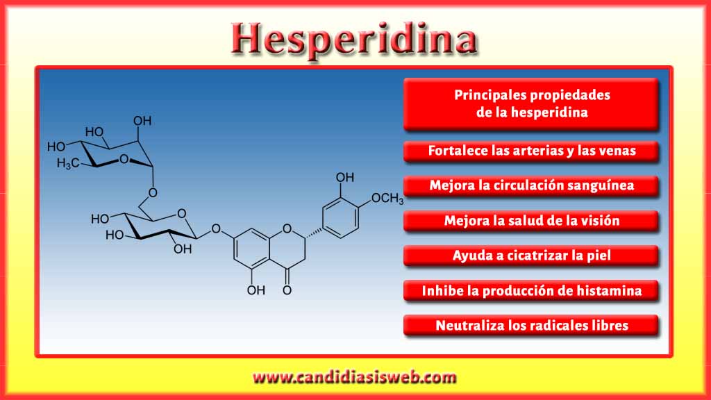 Aminoácidos - Hesperidina